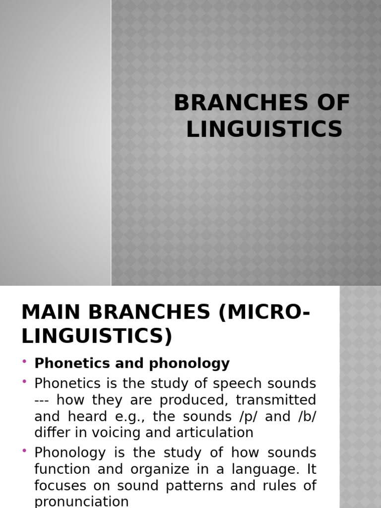 Key Branches of Linguistics Explained | PDF