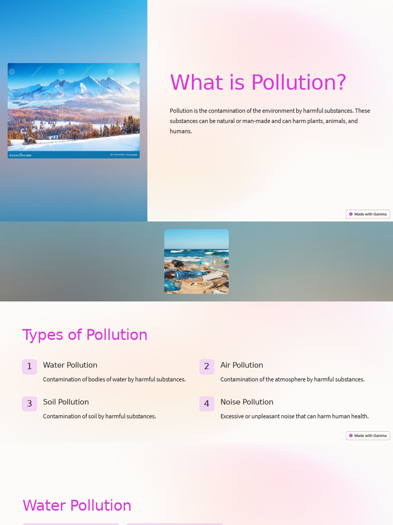 Understanding Pollution Types and Effects | PDF