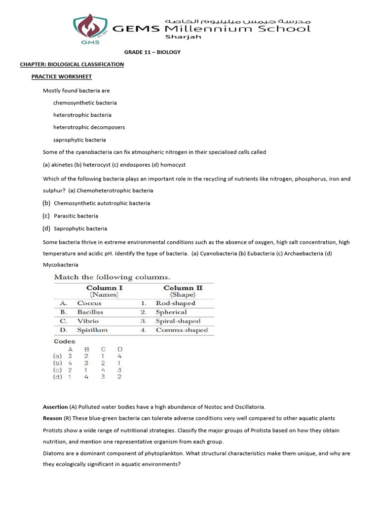 PRACTICE WORK SHEET Biological Classification-2025 | PDF | Bacteria ...