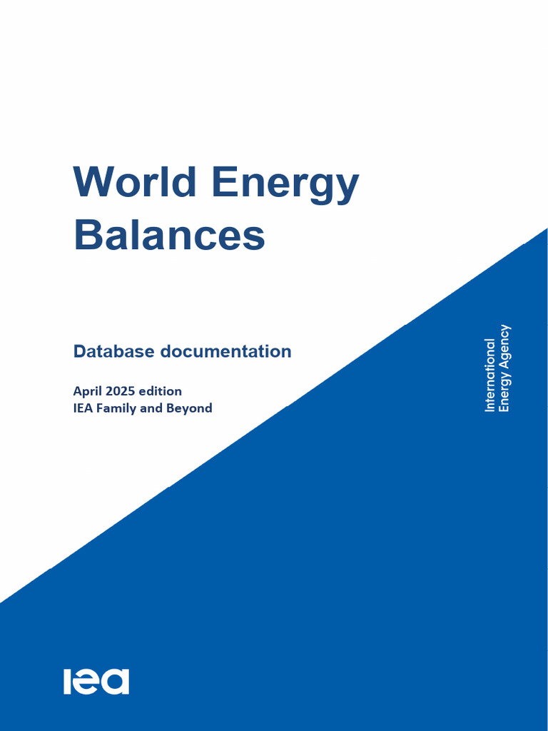 World Energy Balances Database 2025 | PDF | Natural Gas | Cogeneration