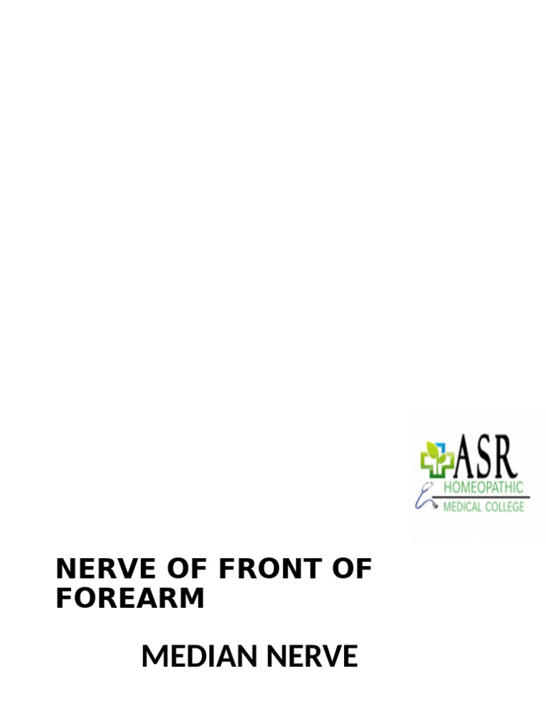 Nerve of Front of Fore Arm by Mouni Sheral | PDF