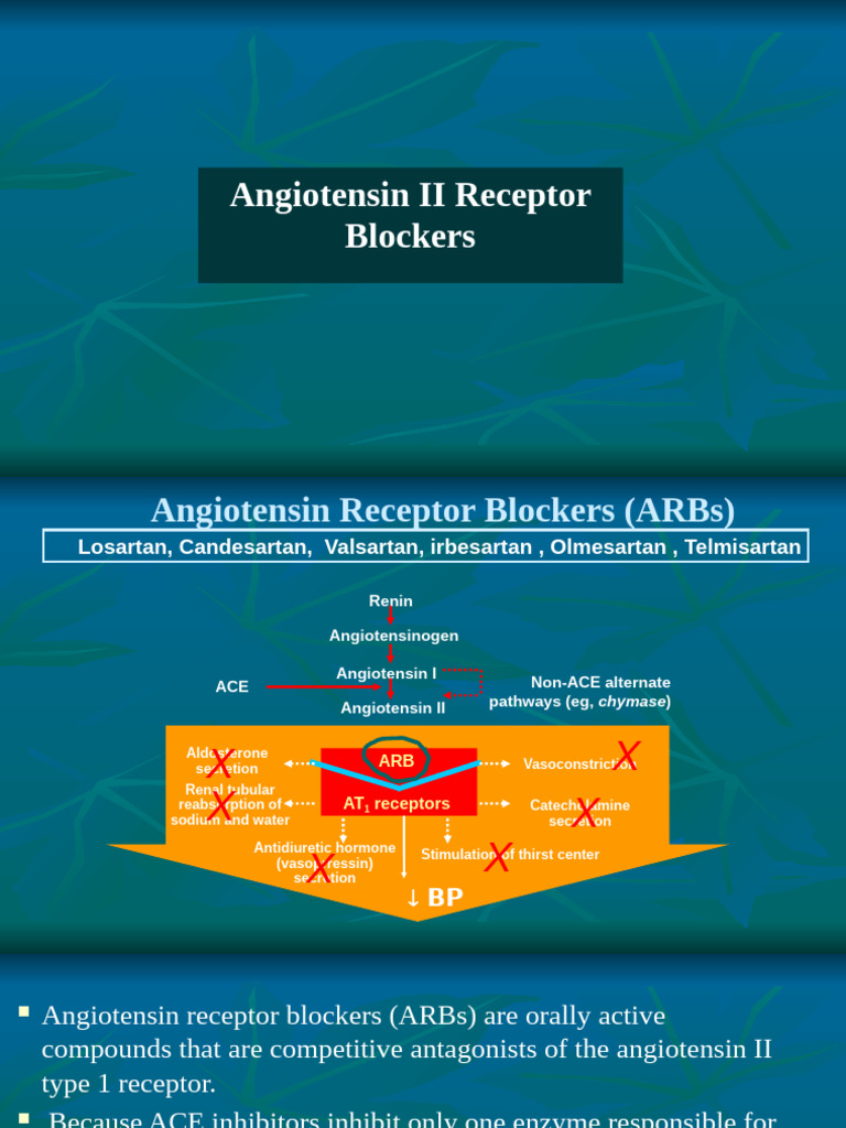 Angiotensin II Receptor Blockers | PDF | Angiotensin | Endocrine System
