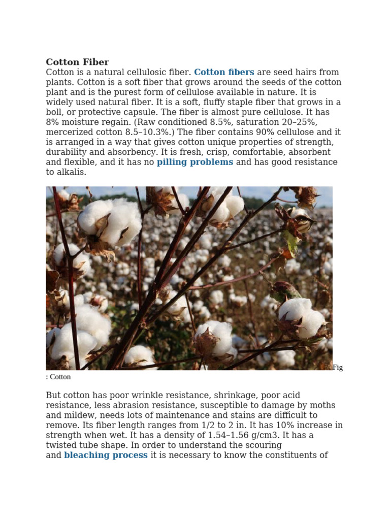 Understanding Cotton Fiber Composition | PDF | Fatty Acid | Fibers