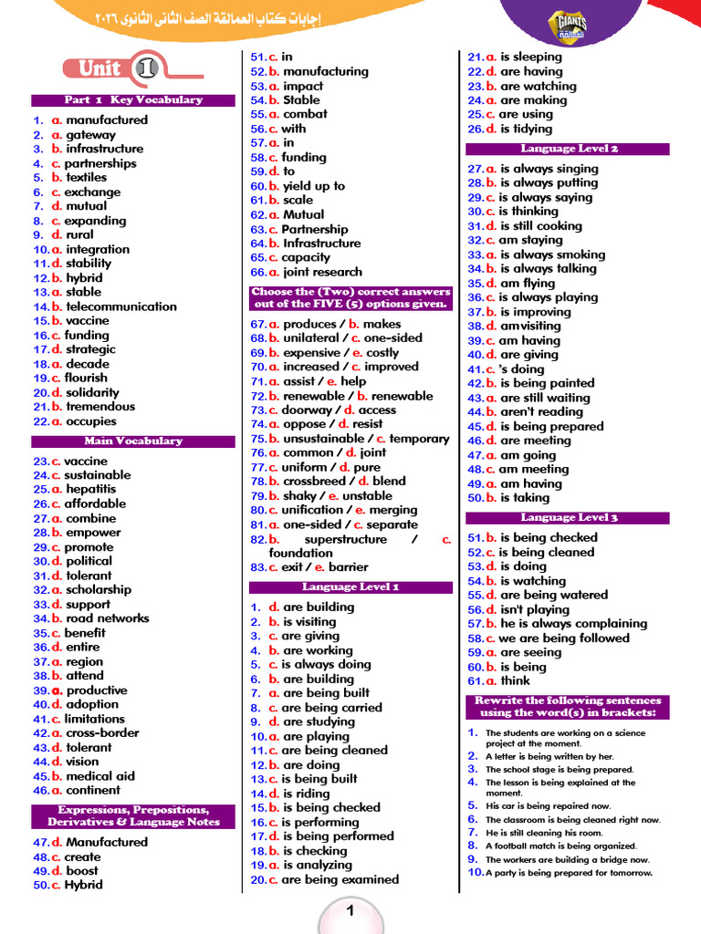 Key Vocabulary and Language Exercises | PDF | Linguistics