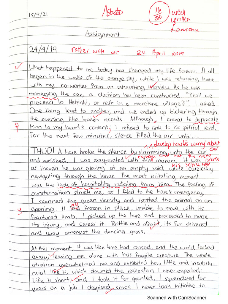 Marked Paper - Assignment 1 - Lawrence Jason Gagtan 80% | PDF