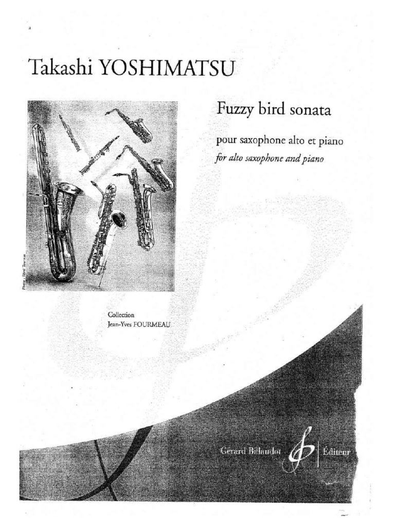 Fuzzy Bird | PDF