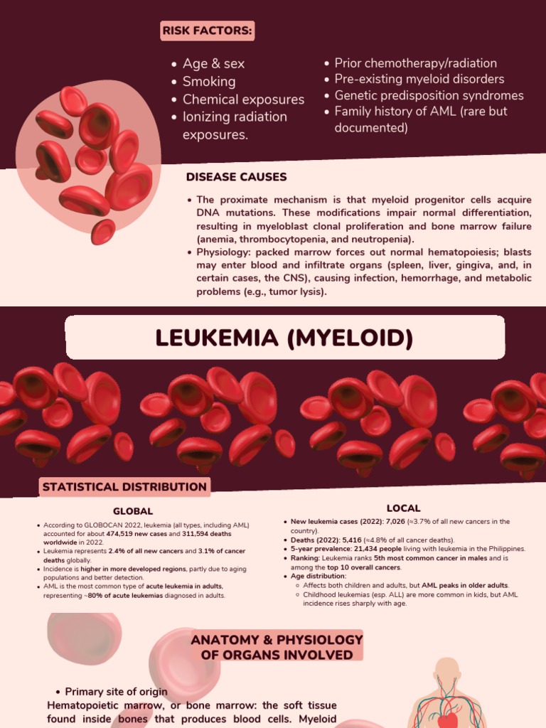 Daclan - Worksheet Reporting #1 | PDF | Heart | Leukemia