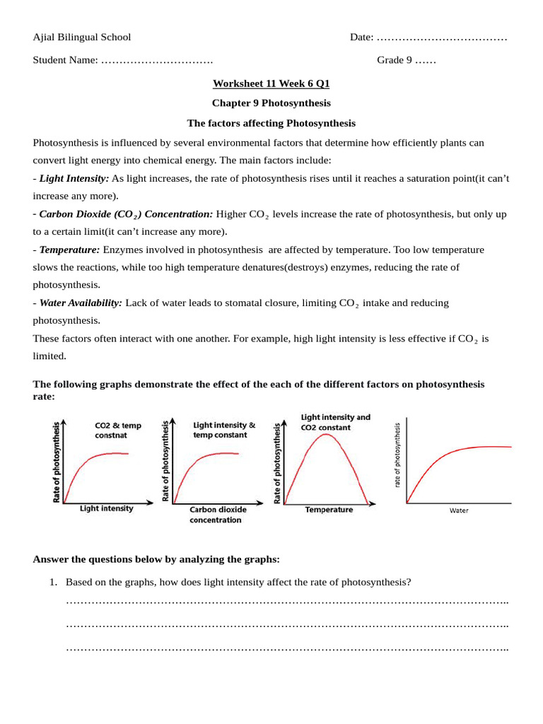 Worksheet11 W6 Q1 | PDF | Photosynthesis | Carbon Dioxide