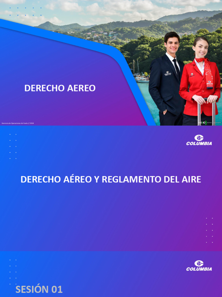 Cac Dali Ppt1.Rev00 (2) | PDF | Aeronave | Reglas de vuelo por instrumentos