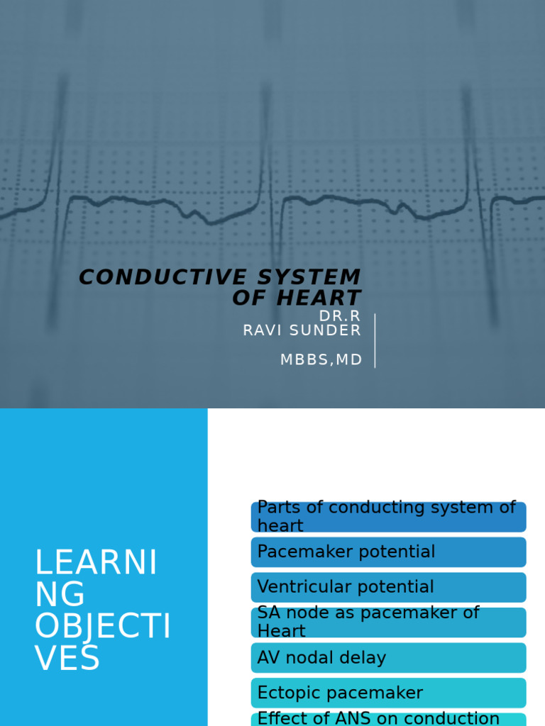 Physiology - Conductive System of Heart | PDF | Heart | Cardiac ...