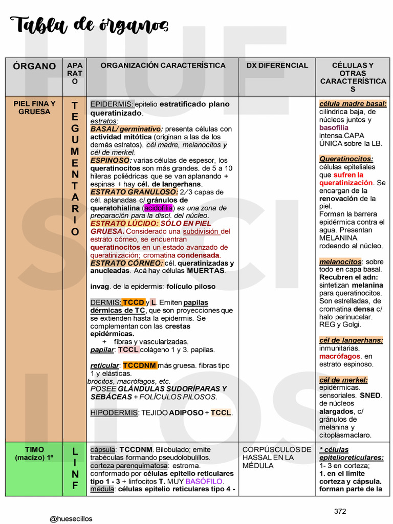 Tablas de Organos | PDF