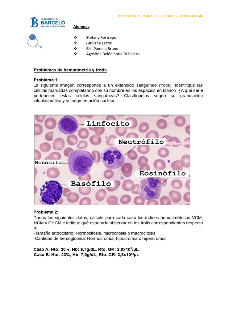 Problemas de Hematimetría y frotis grupo Stefany Restrepo Giuliana Lastiri Elin Pamela Bruno ...