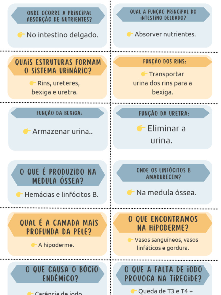 Flashcard Anatomia Pdf
