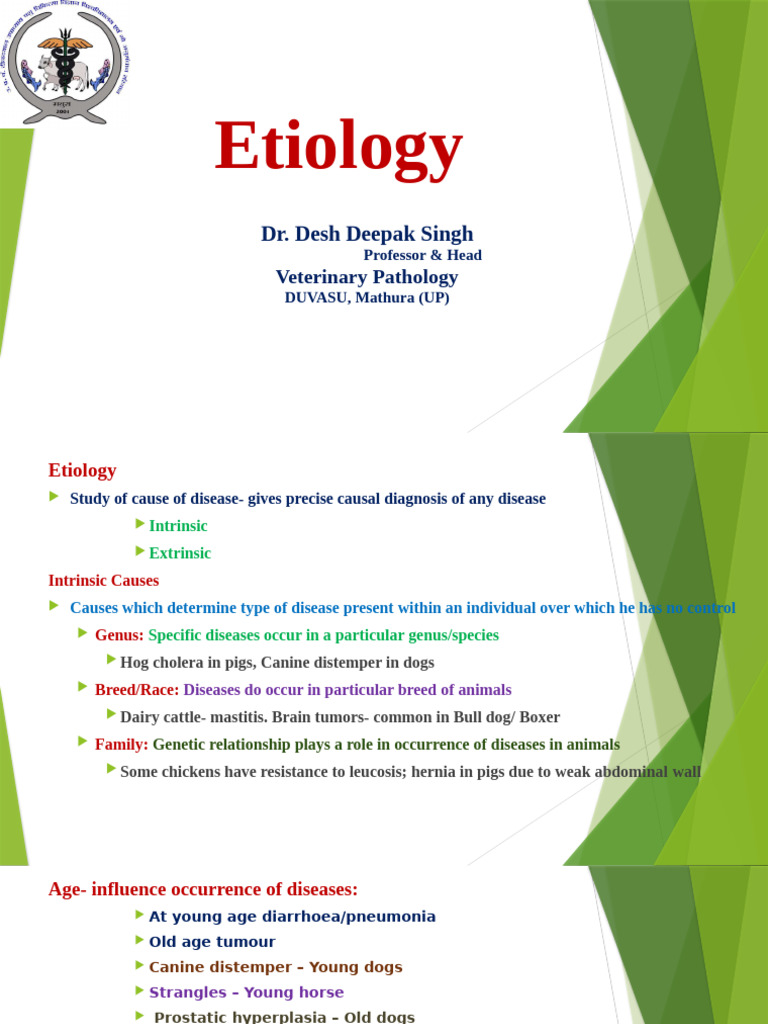 Etiology | PDF | Esophagus | Bacteria