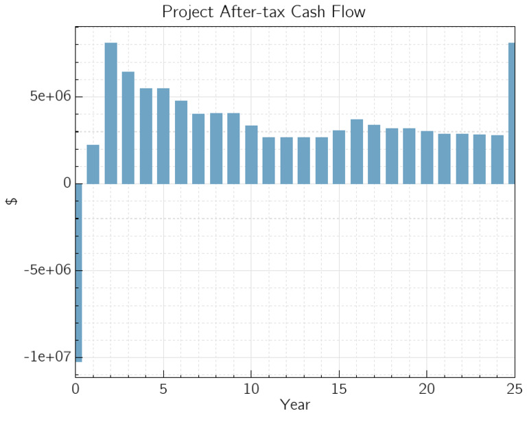 Cash Flow Grant | PDF