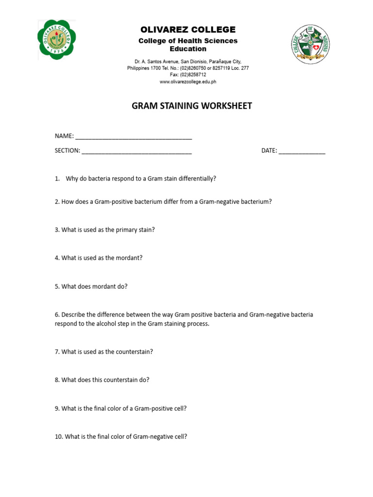 Gram Staining Worksheet | PDF