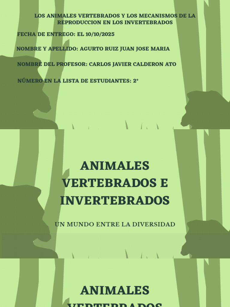 Presentación de Los Animales Vertebrados e Invertebrados Educativo ...