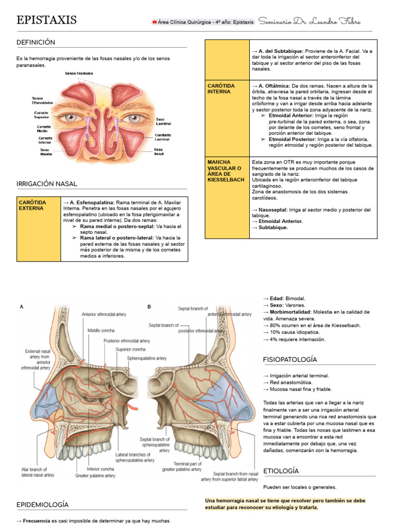 3. Epistaxis | PDF | Nariz humana | Medicina CLINICA