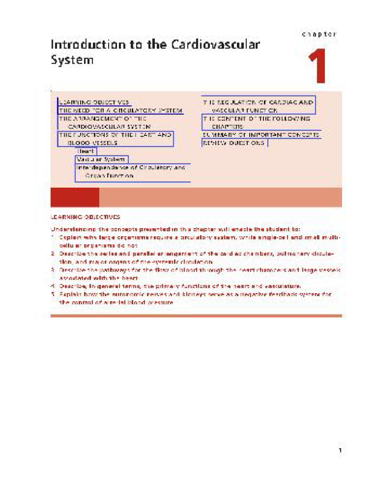 Cardiovascular Physiology Concepts | PDF