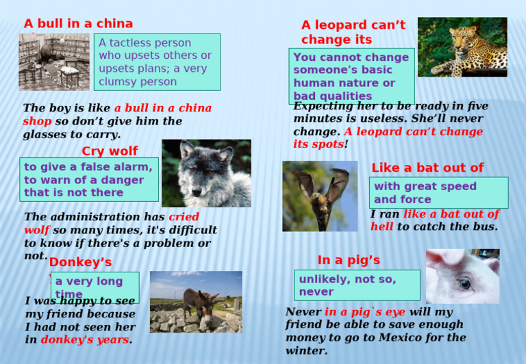 Idioms - Animals | PDF