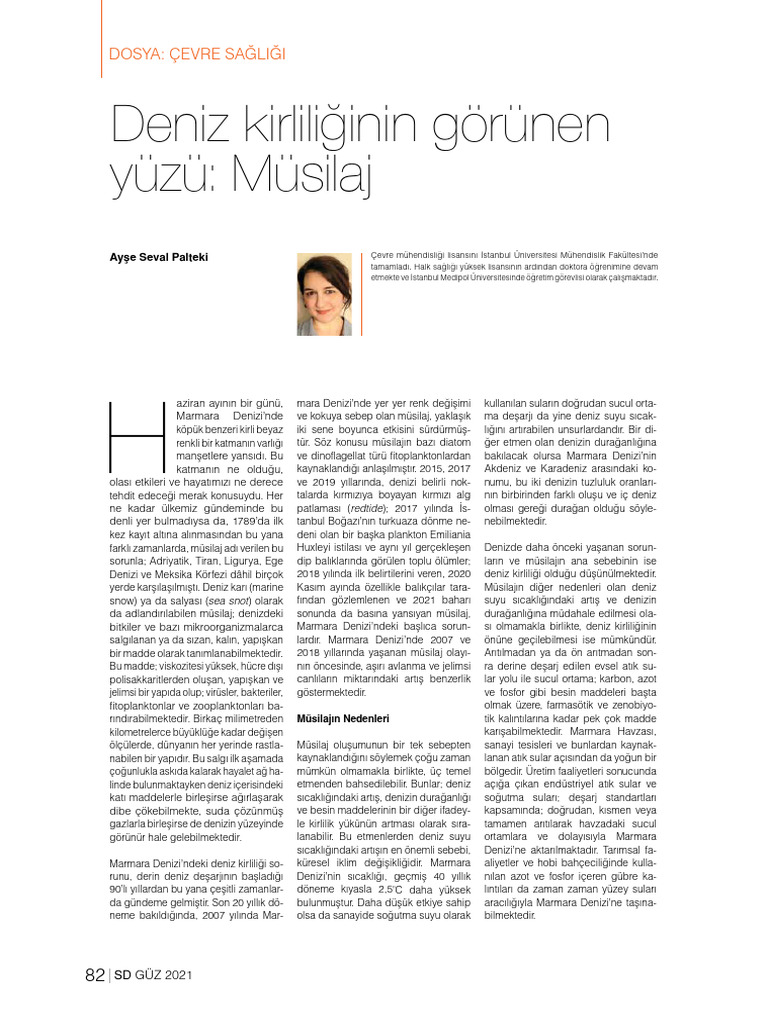 SD Dergi Sayi60!84!87.Sayfalar Ayse Seval Palteki | PDF