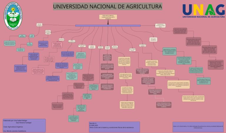 Mapa Conceptual (2) | PDF