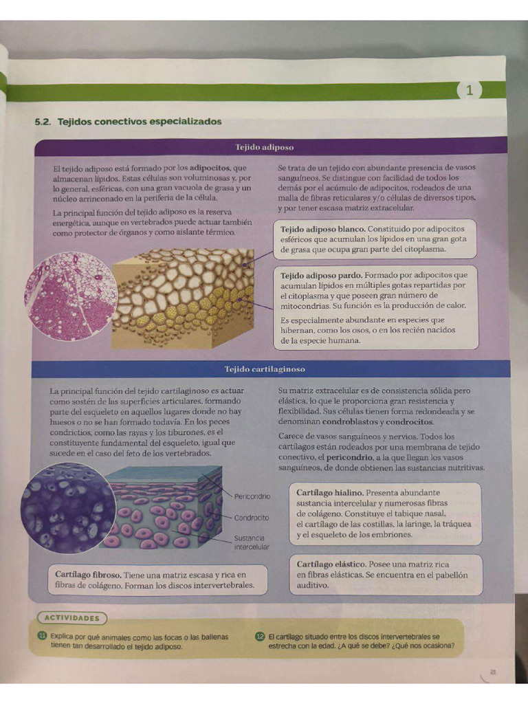 IMG_20251024_165024_009 | PDF