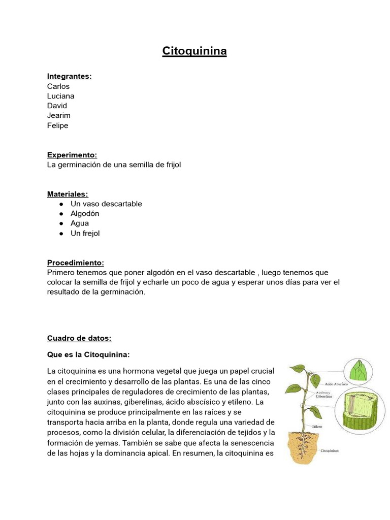Informe Citoquinina, Hormona en Las Plantas. | PDF | Hormona Vegetal ...