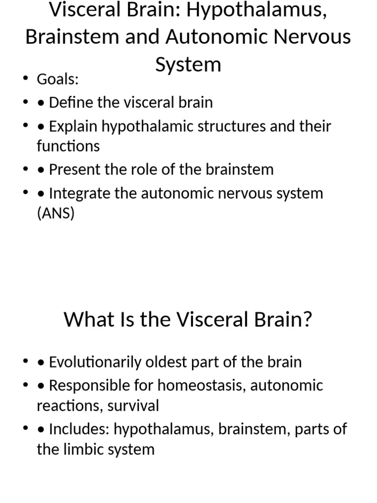 Understanding the Visceral Brain Functions | PDF | Hypothalamus ...