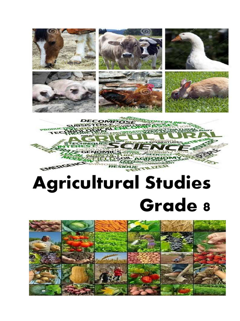 Grade 8 Agricultural Studies Overview | PDF | Agriculture | Sustainable ...