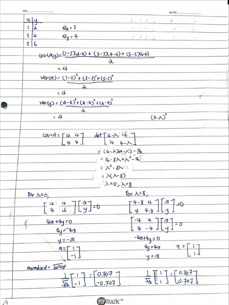 PCA Activity | PDF