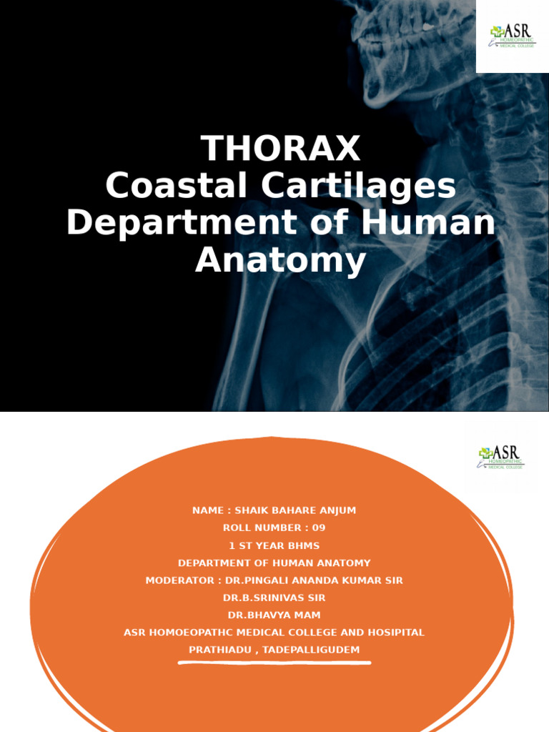 Coastal Cartilages Anatomy PPT by Shaik Bahare Anjum ASR homoeopathic ...