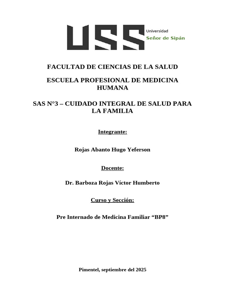 SAS 3 | PDF