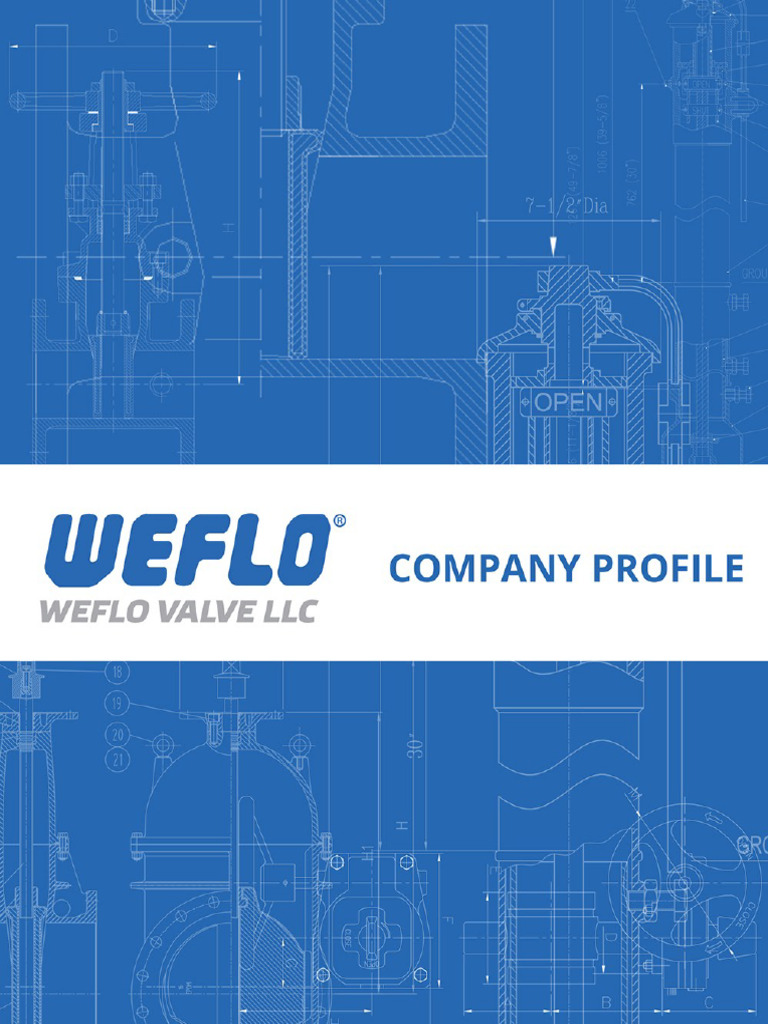 Weflo Valve LLC - Company Profile | PDF