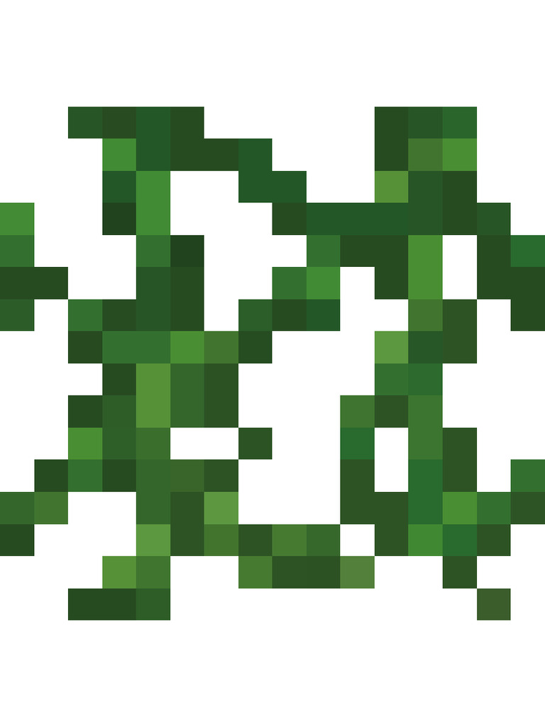 Vines Minecraft | PDF