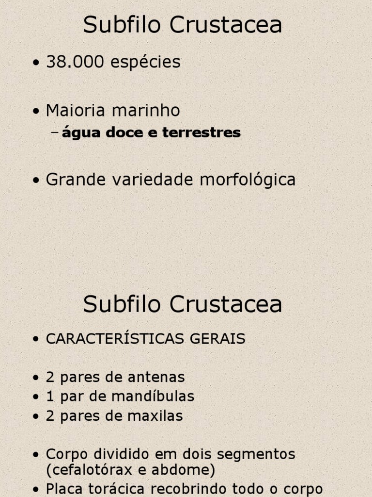 Características e Classificação dos Crustáceos | PDF | Crustáceo | Camarão