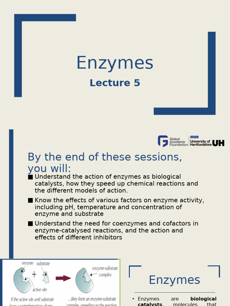 Lecture 5 Enzymes Part 1 | PDF | Enzyme | Active Site