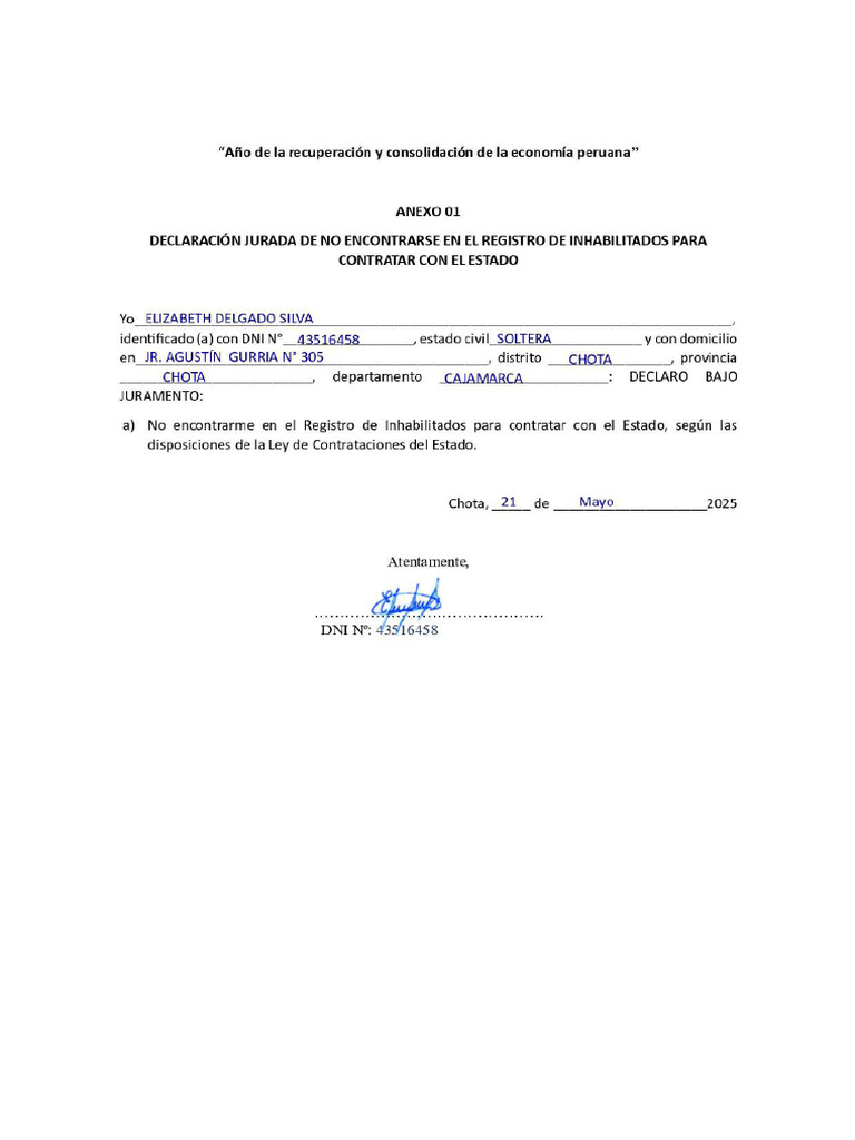 D J. Elizabeth Delgado S. | PDF