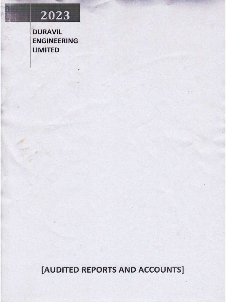 Duravil Engineering LTD 2023 Afs Audit | PDF