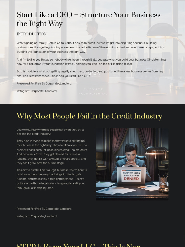 Business Structure | PDF