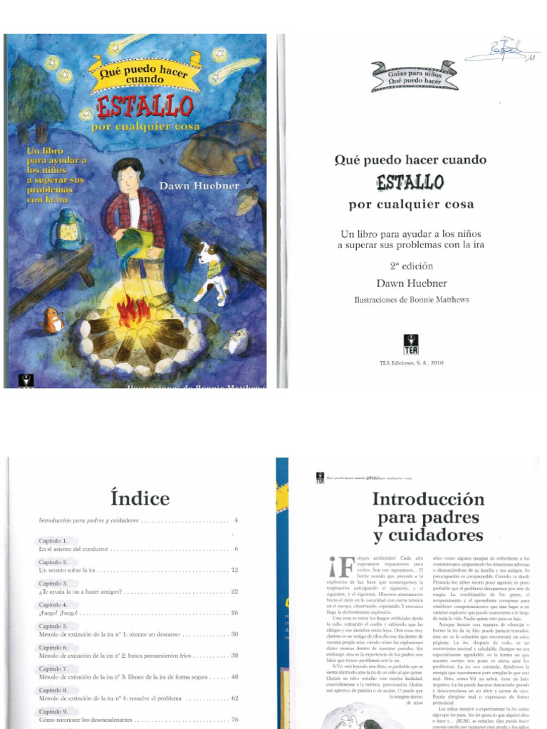Que Puedo Hacer Cuando Estallo Por Cualquier Cosa | PDF