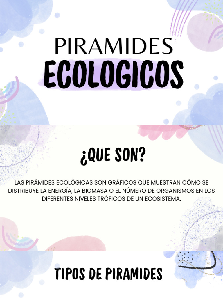 Pirámides Ecológicas: Niveles y Tipos | PDF | Ecología | Biomasa (Ecología)