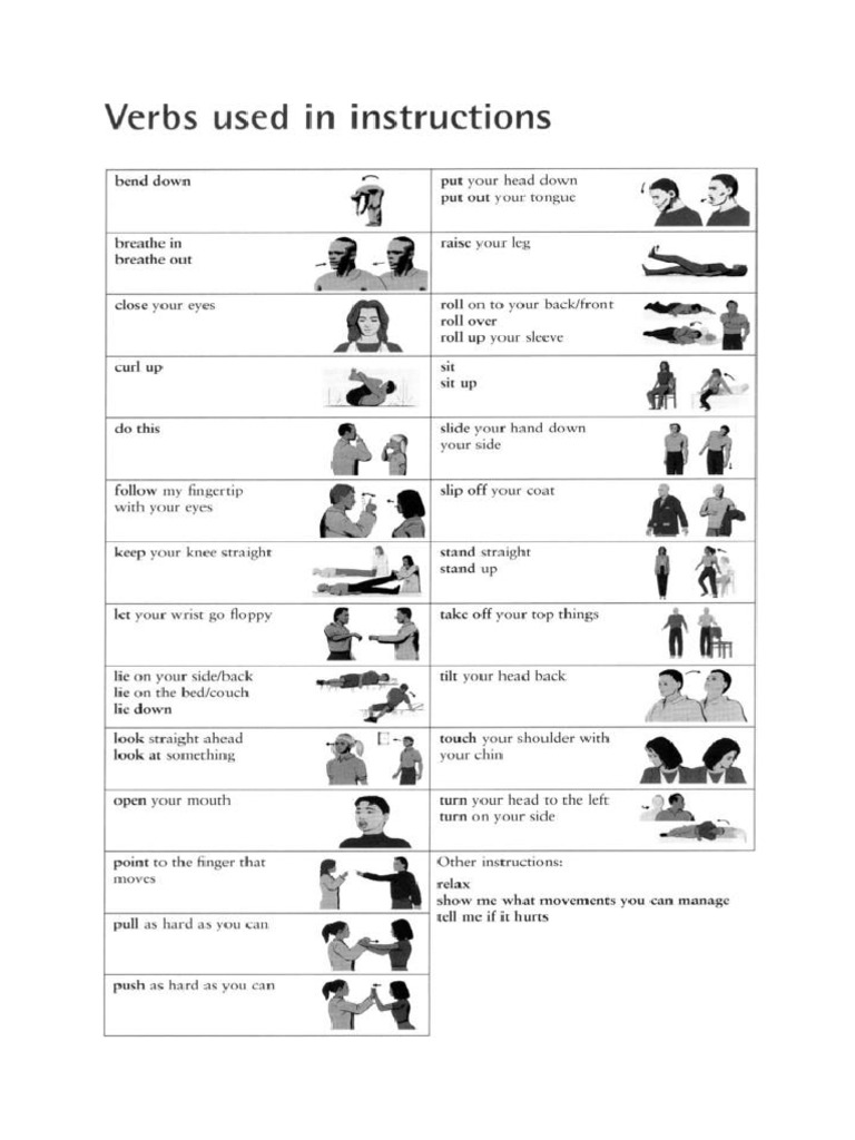 Verbs Used in Instructions | PDF