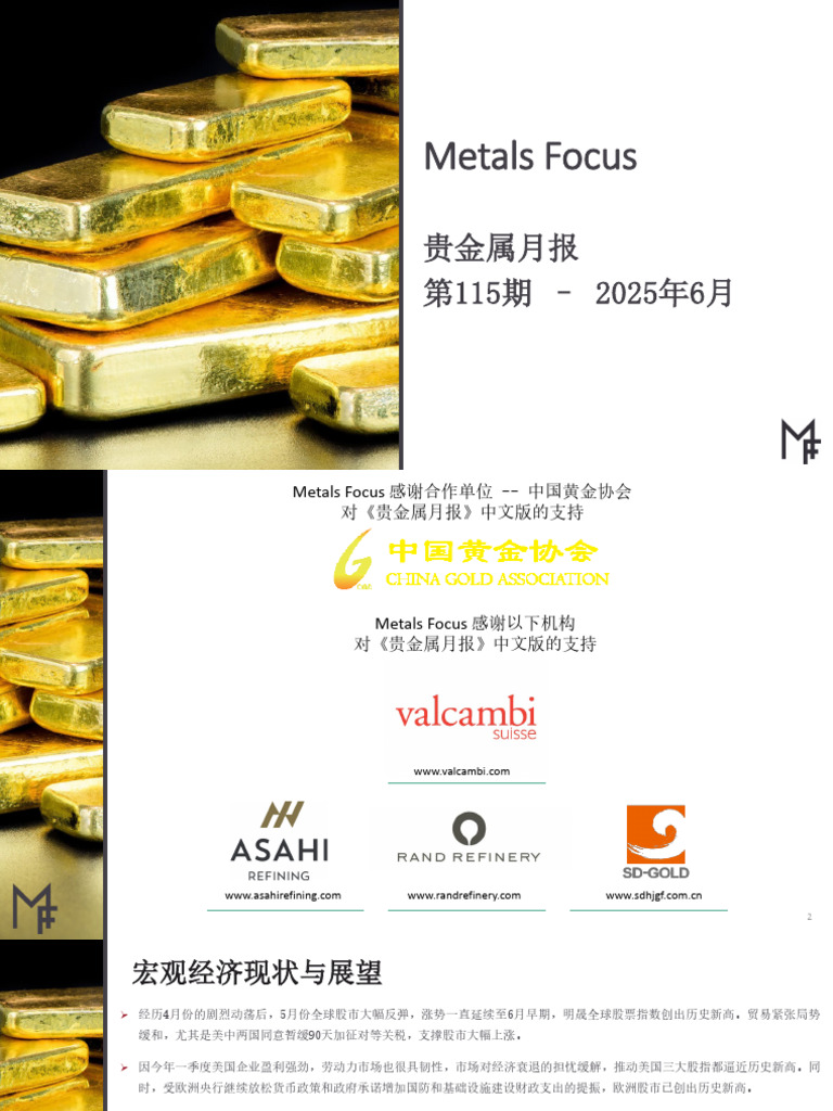 Metals Focus | PDF