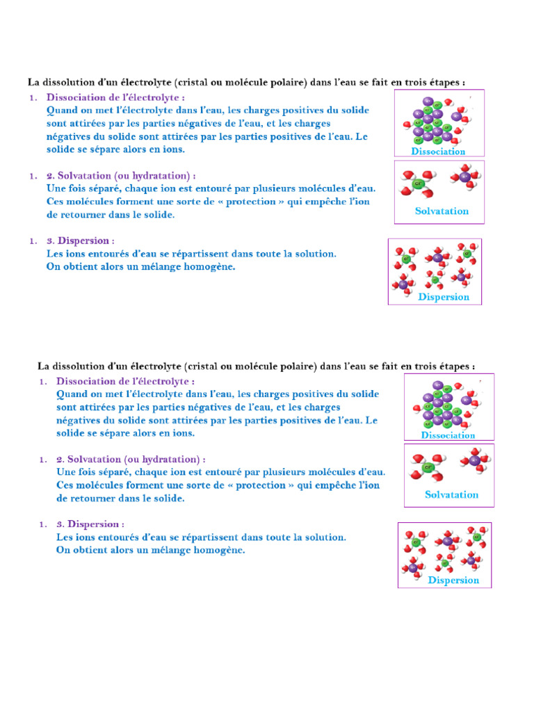 Etapes de La Dissolution | PDF
