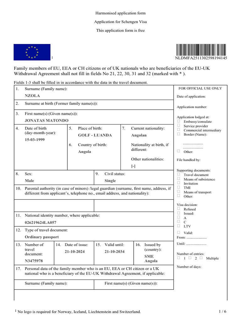 Schengen Visa Application Form Guide | PDF | Travel Visa | European ...