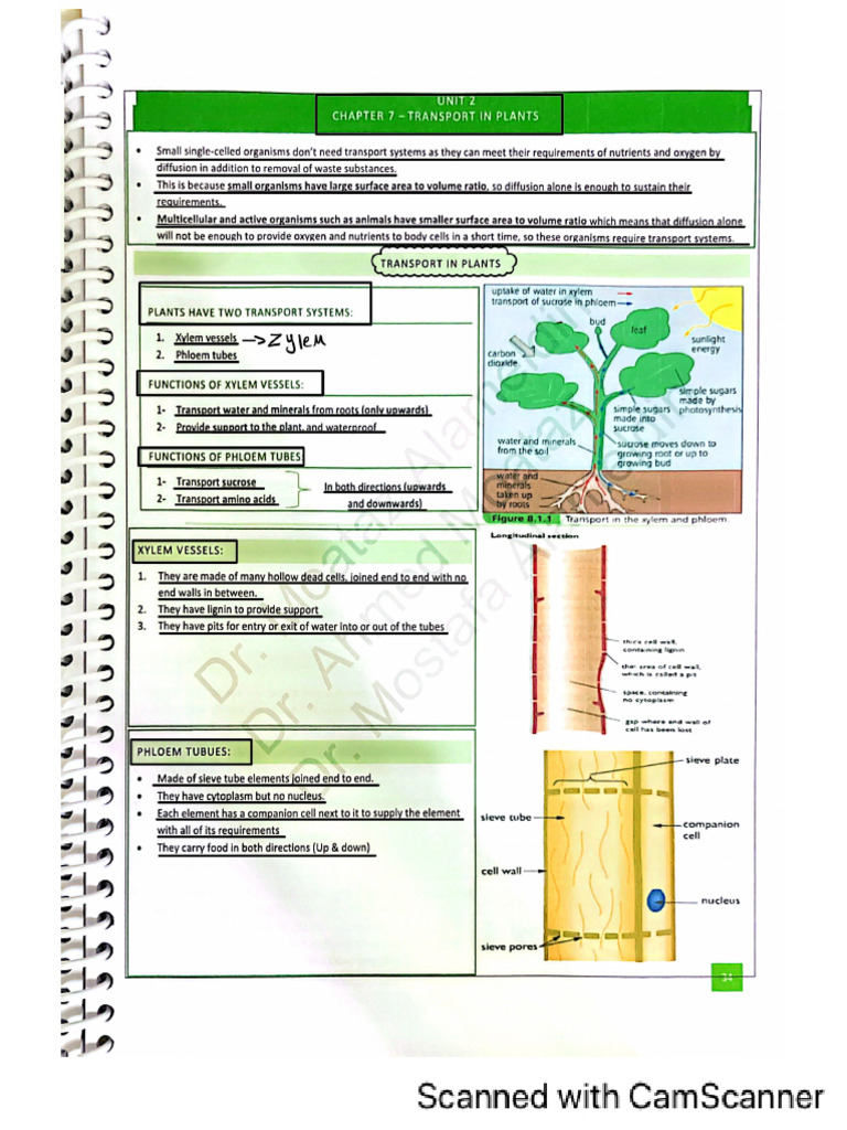 Unit 2 Chapter 7,8,9 | PDF