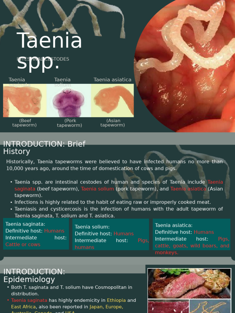 Marabarbas Taenia Spp. | PDF | Medical Specialties | Human Diseases And ...