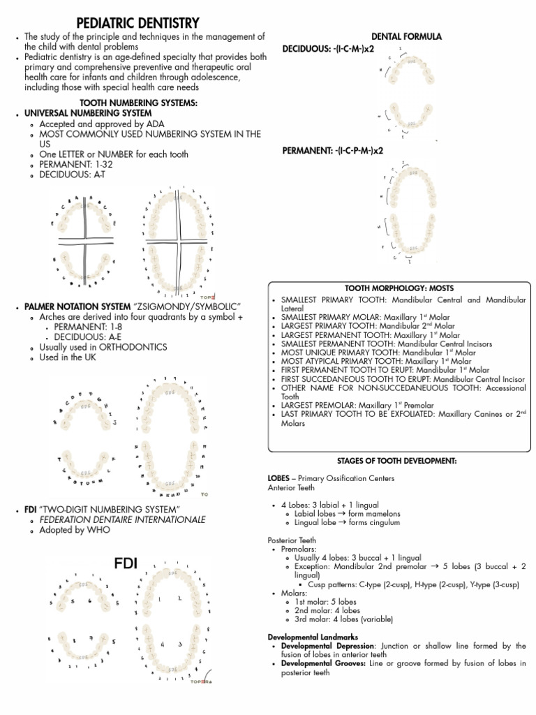 Pediatric Dentistry | PDF | Dental Anatomy | Human Tooth