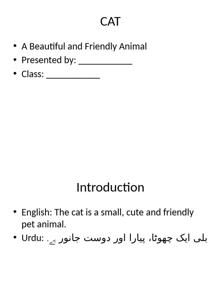 Cat Presentation | PDF